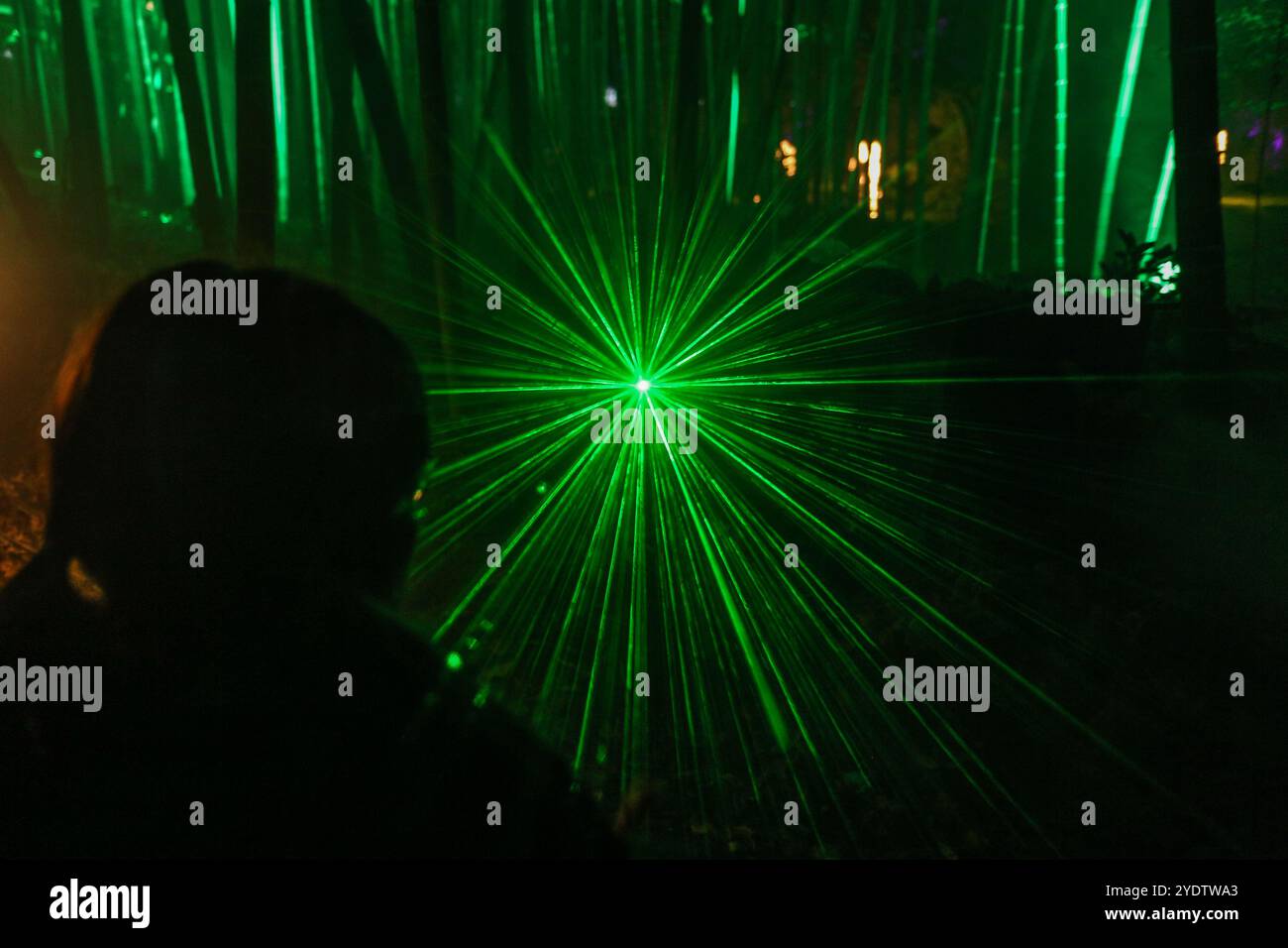 Green light installation in a bamboo garden with many people fascinated ...