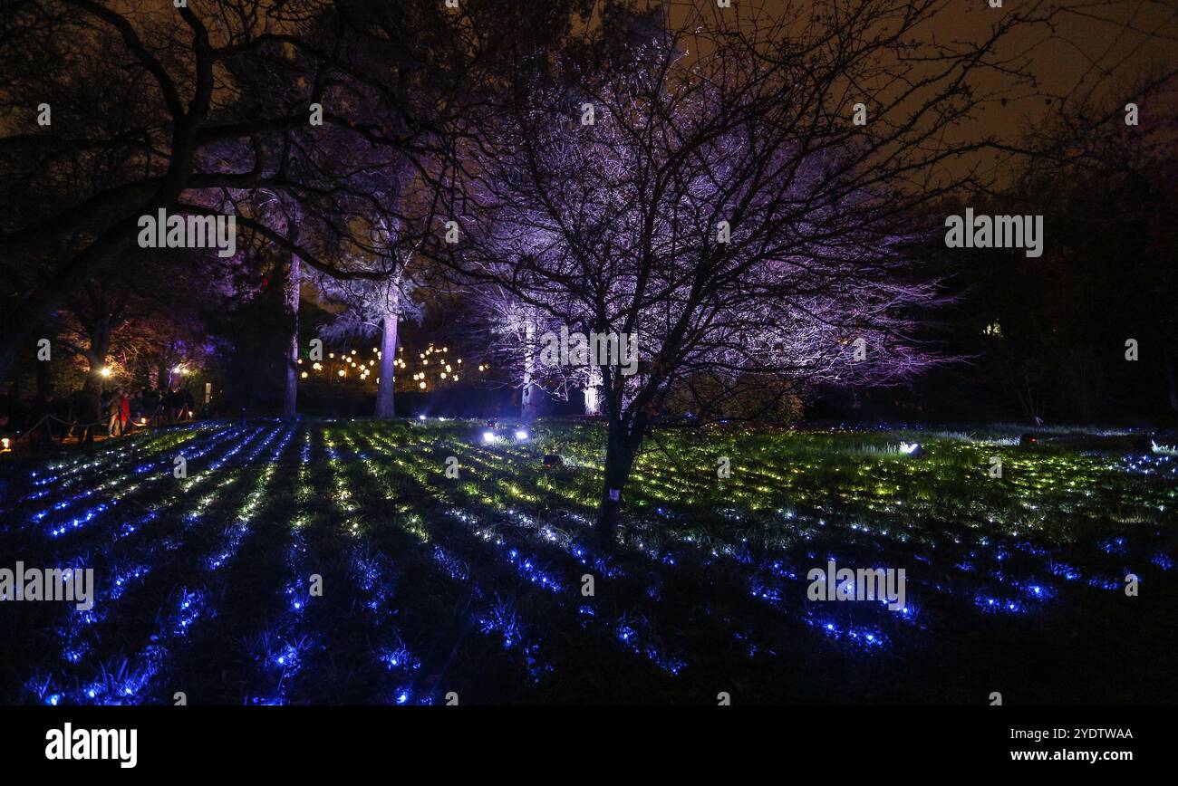 Botanical Garden Park with night lighting and temporary light ...