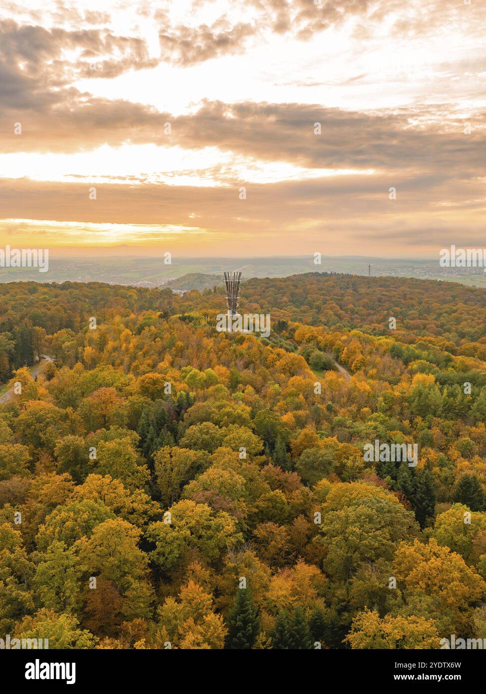 The observation tower towers above an autumn-coloured forest in the ...