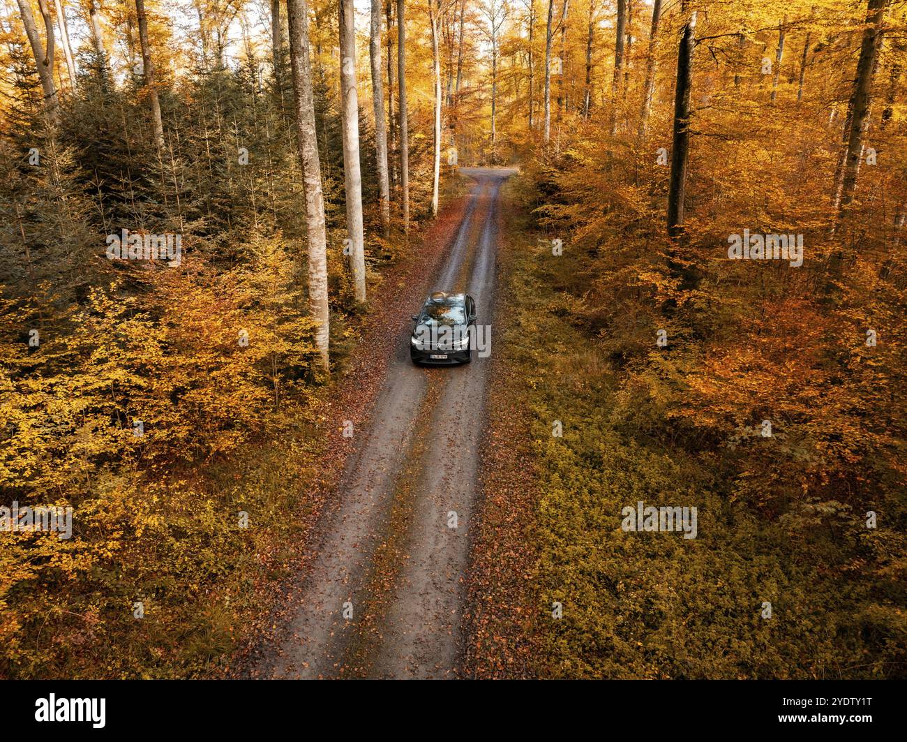 Car driving along a narrow path through a colourful autumnal forest ...