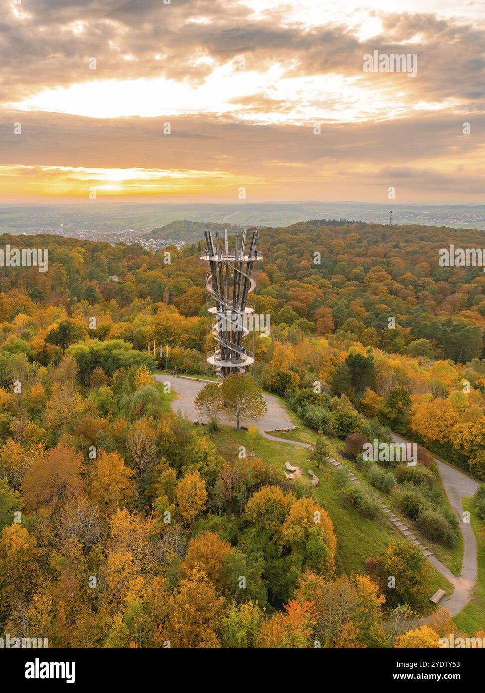 The observation tower stands majestically above the autumnal forest in ...