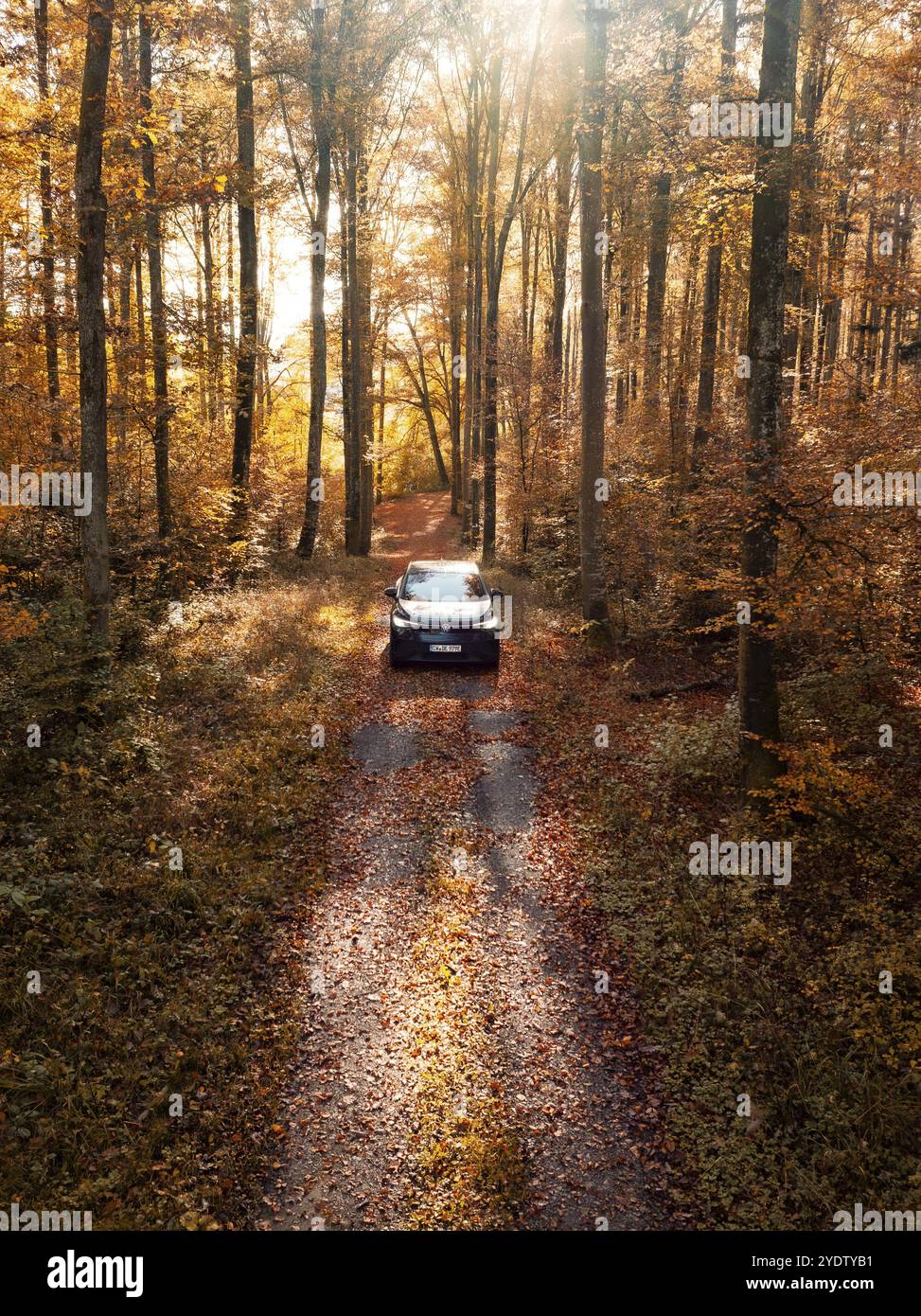Vehicle on a forest path, surrounded by autumn trees and sunbeams ...