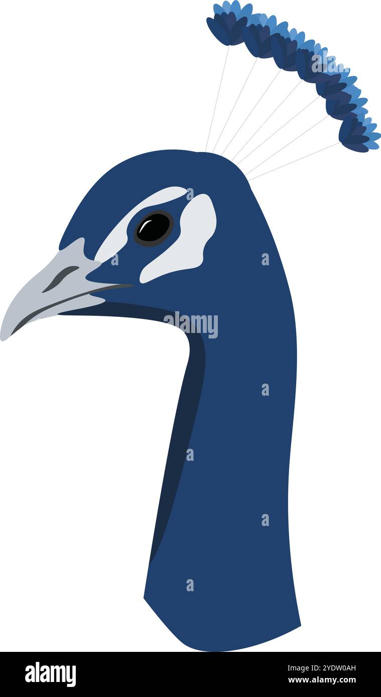 vector illustration of blue peacock head isolated on white background ...