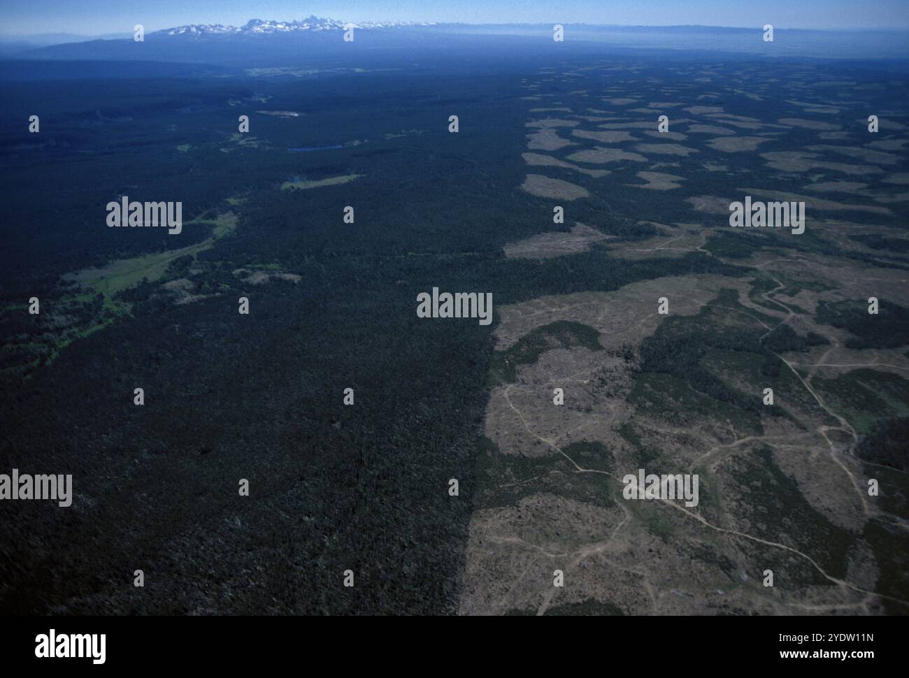 Aerial view of an open field and mountains seen at a distance, Idaho ...