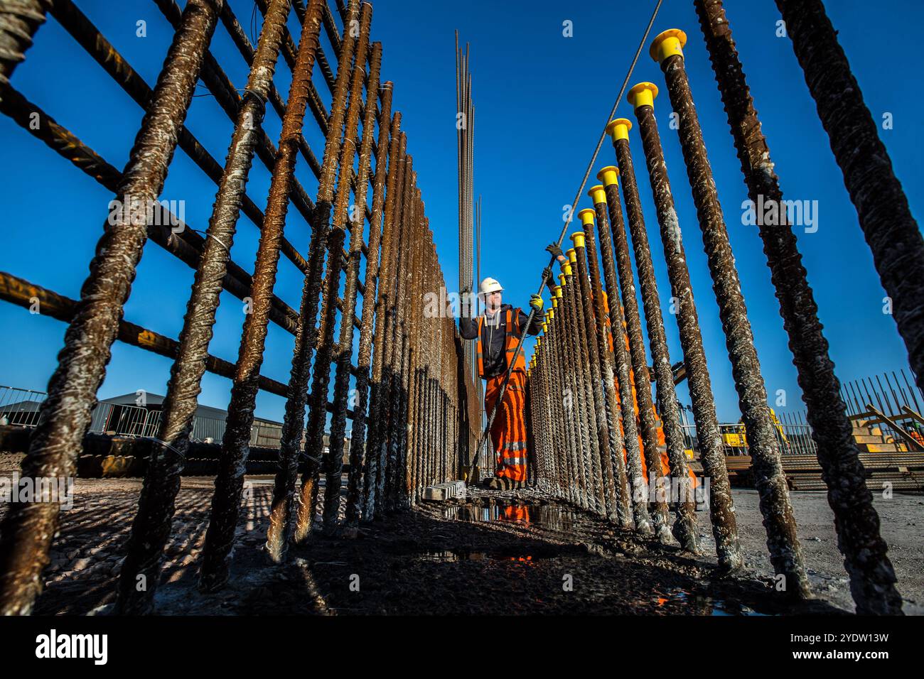 ALamy Stock October2024 Pic Peter Devlin Stock Photo - Alamy