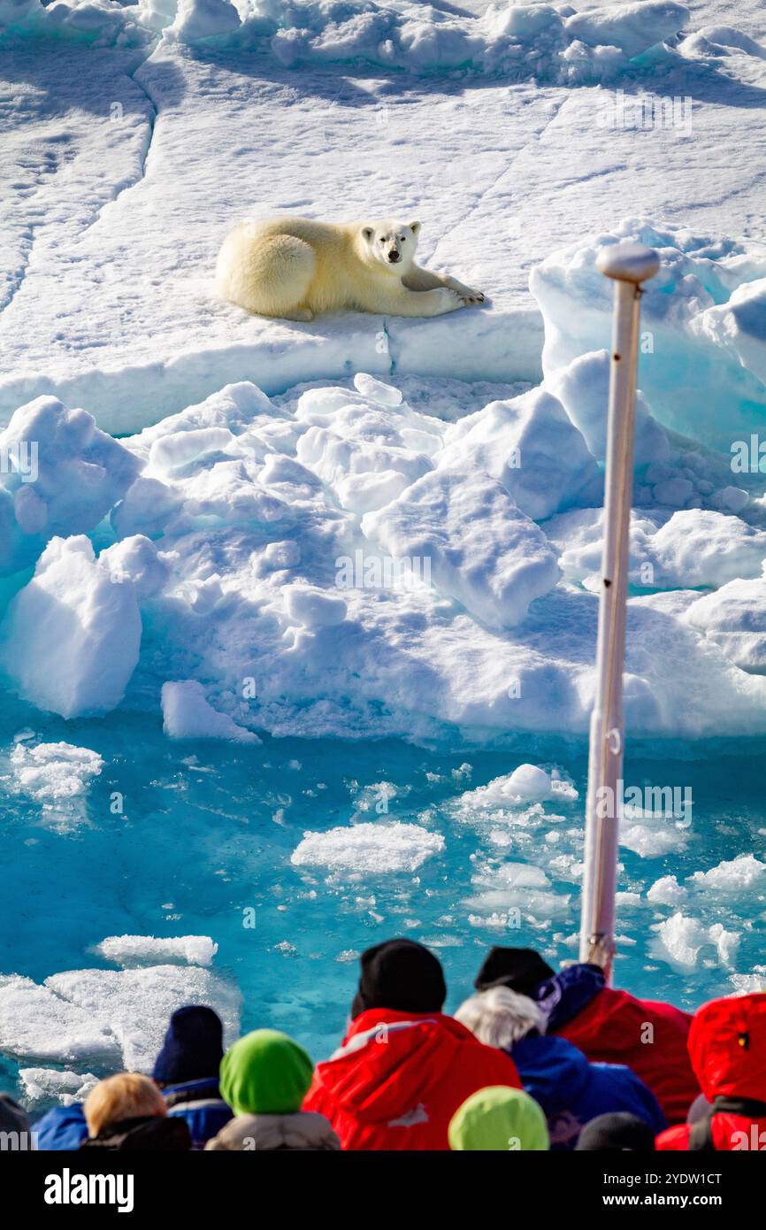 Curious explorers hi-res stock photography and images - Alamy