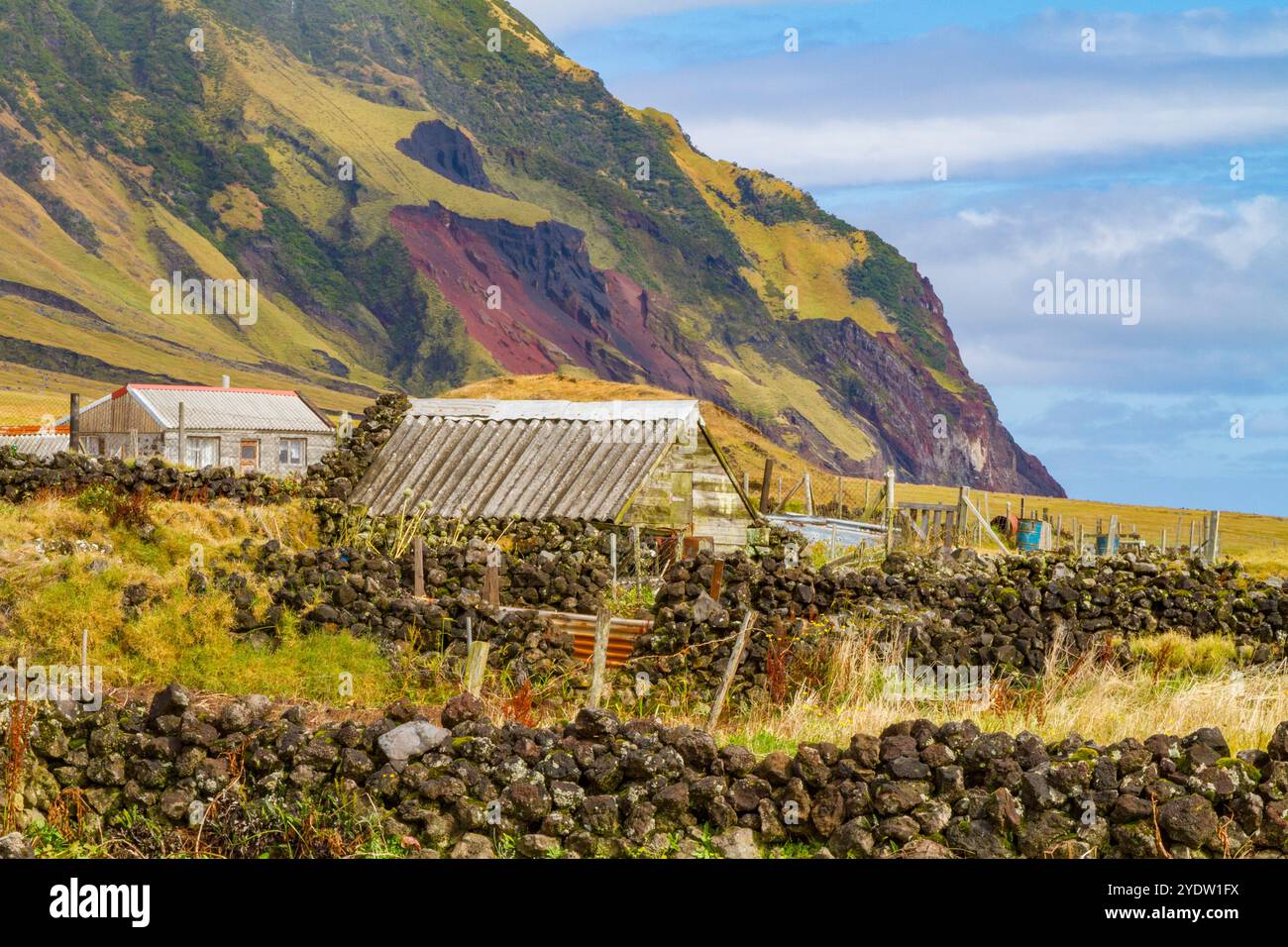 View of the potato patch on Tristan da Cunha, the most remote inhabited ...