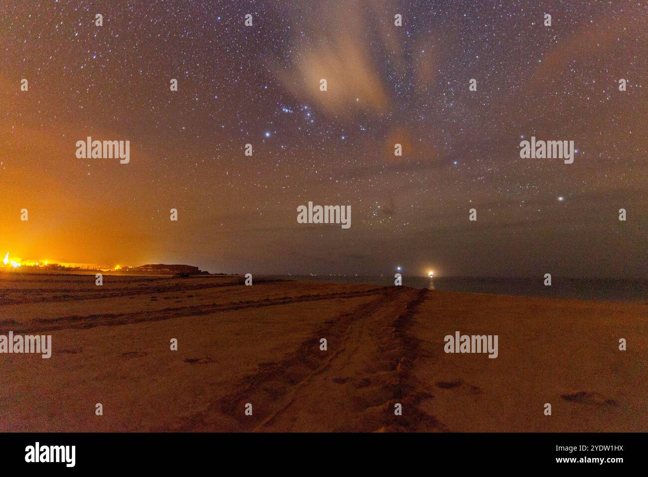 Green Sea Turtle (Chelonia mydas) nesting site at night on Long Beach ...