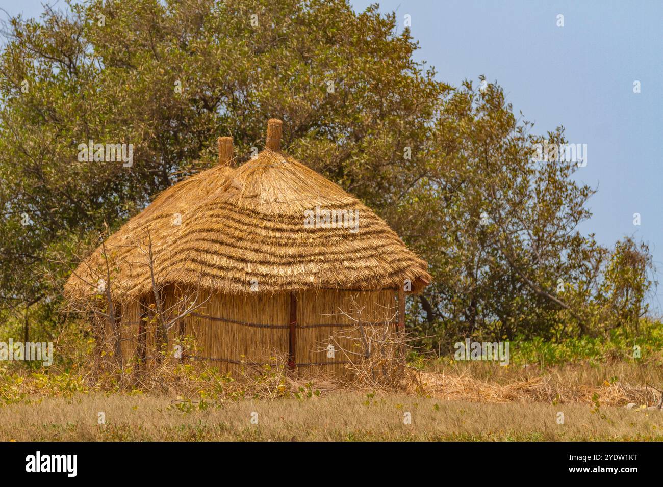 Views of visitor lodging on Ile des Oiseaux (Bird Island) in the Parc ...