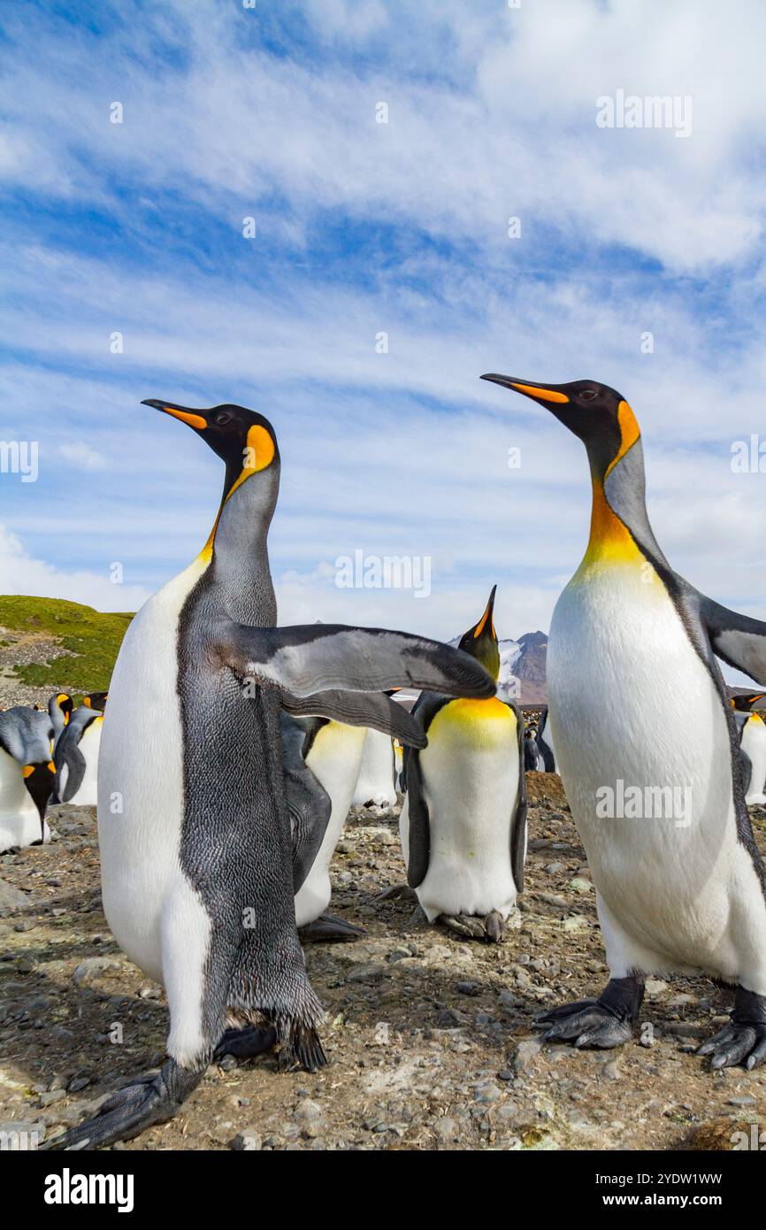 Dynamics of community life in hi-res stock photography and images - Alamy