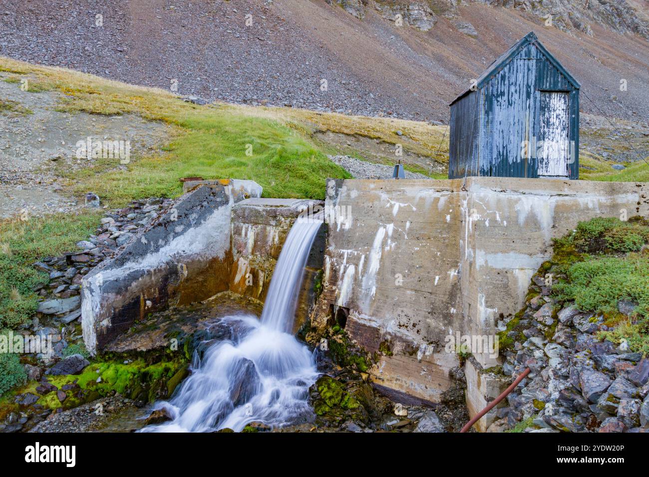 Swedish flora exploration hi-res stock photography and images - Alamy