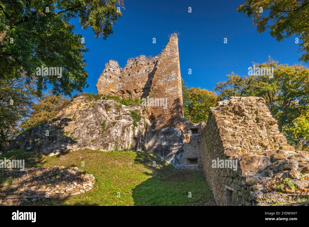 Čičva Castle (Čičava) ruins, 13th century, near Vranov nad Topľou ...