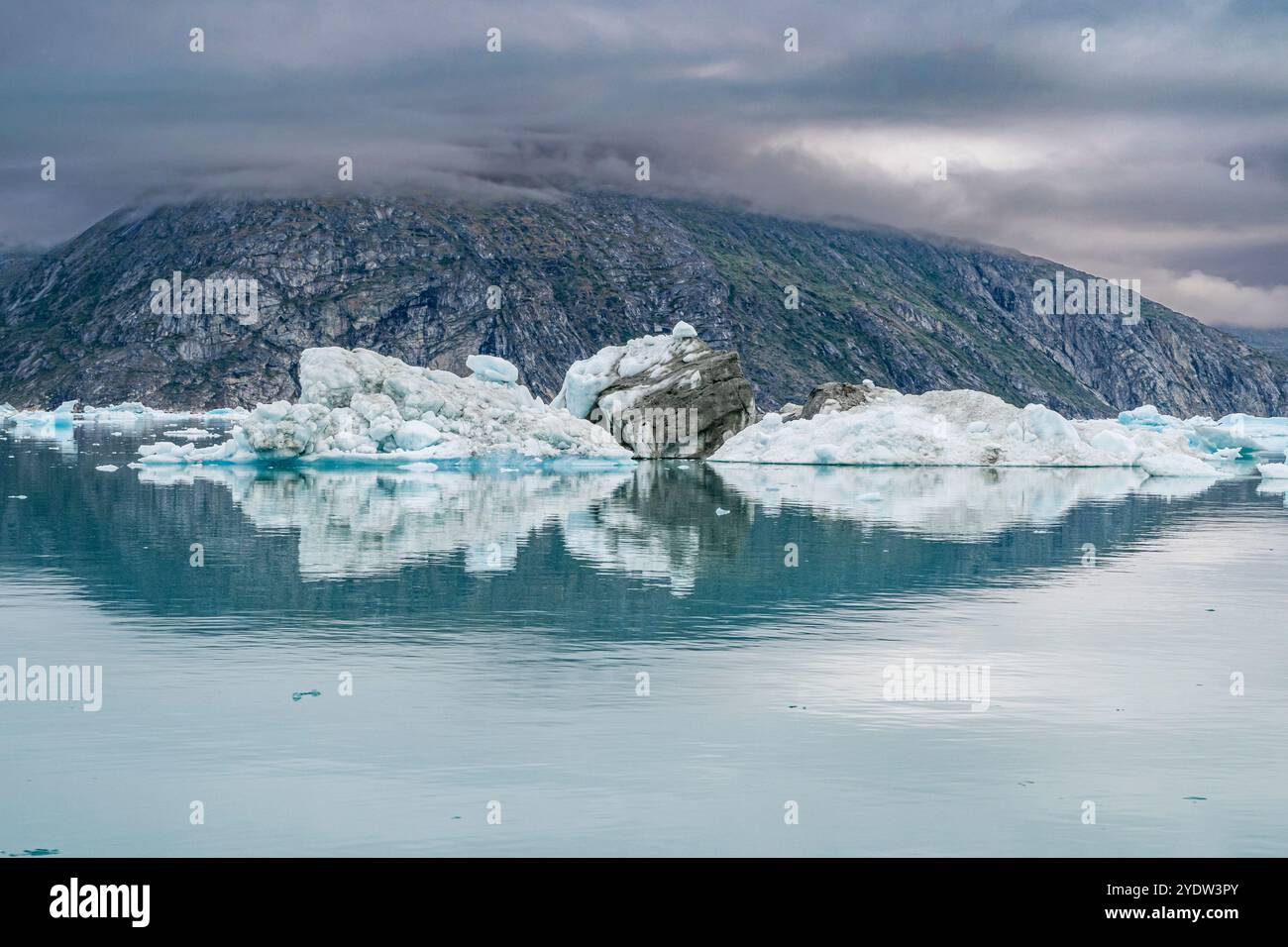 Floating icebergs in the Nuuk Icefjord, Western Greenland, Denmark ...