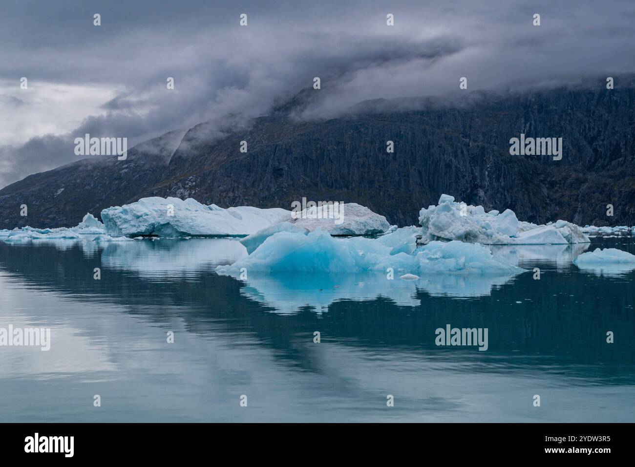 Floating icebergs in the Nuuk Icefjord, Western Greenland, Denmark ...