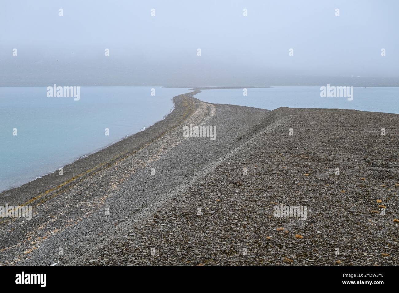 Arctic desert landscape on Beechey island, Nunavut, Canadian Arctic ...