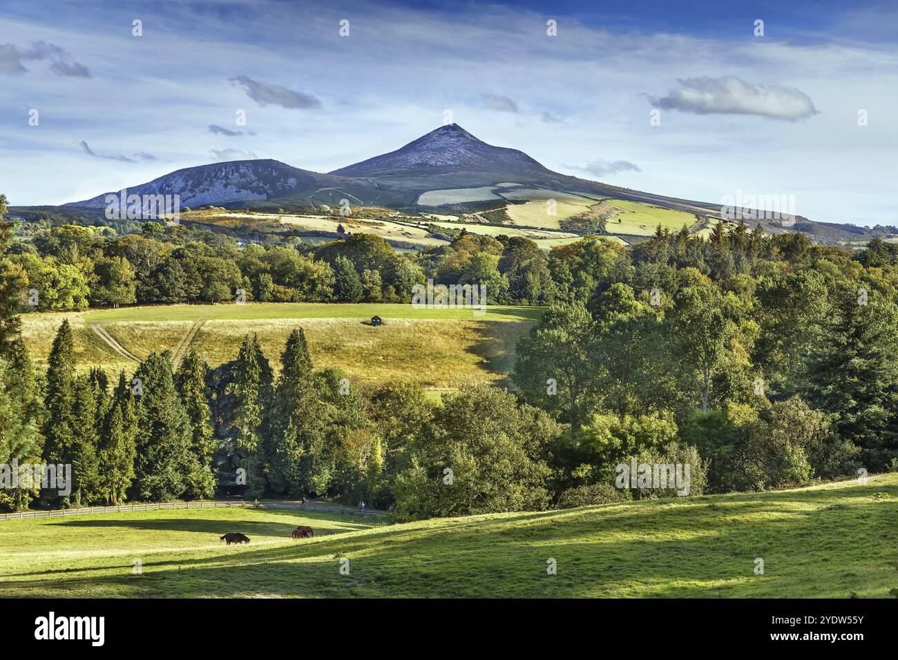 Mount long ireland hi-res stock photography and images - Alamy