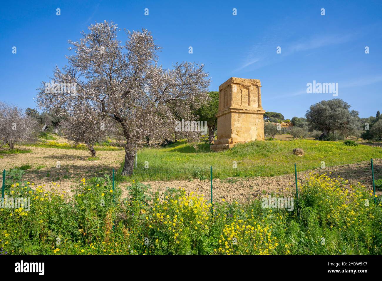 Tomb of theron hi-res stock photography and images - Alamy
