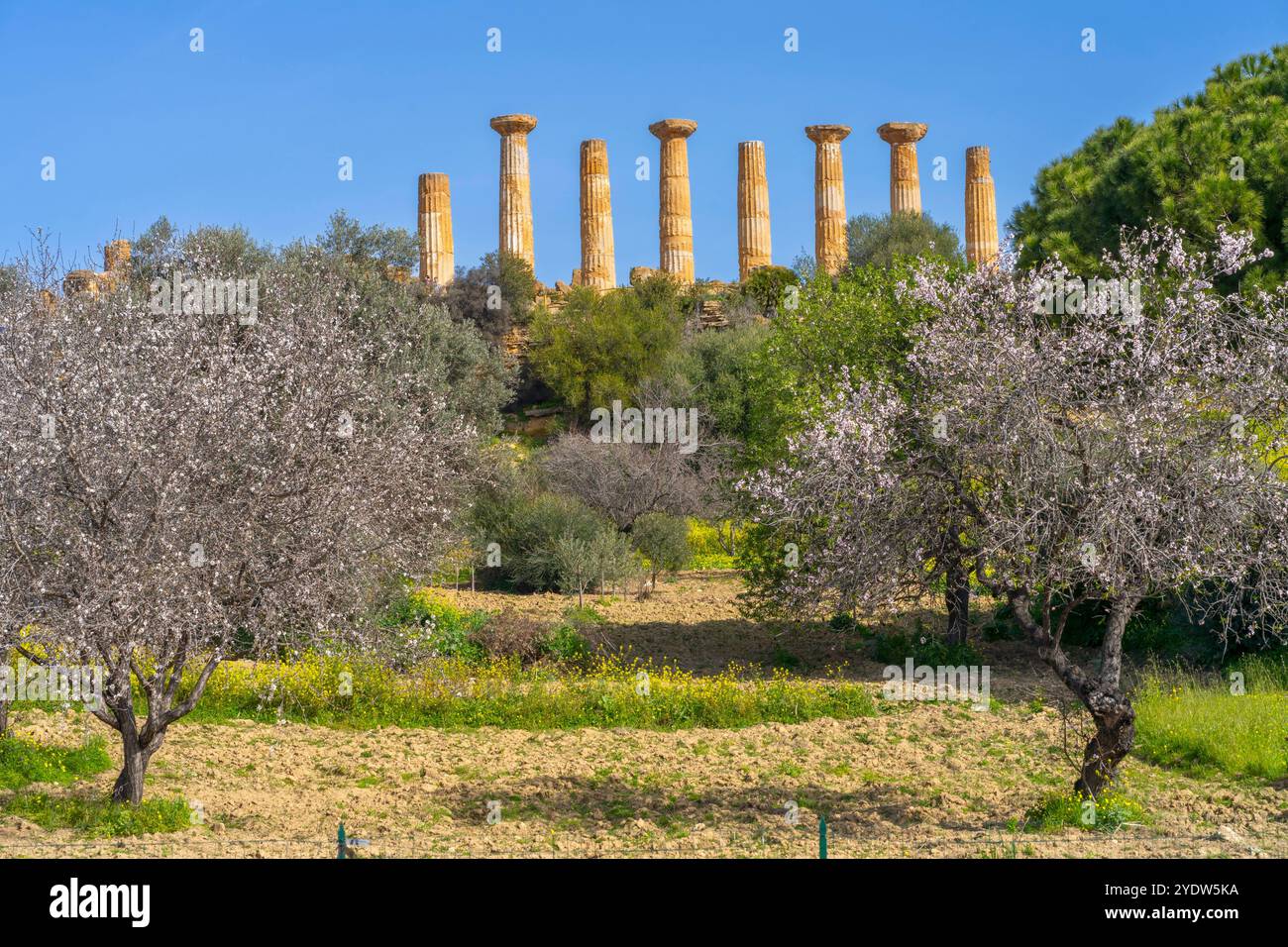 Valley of the Temples, UNESCO World Heritage Site, Agrigento, Sicily ...
