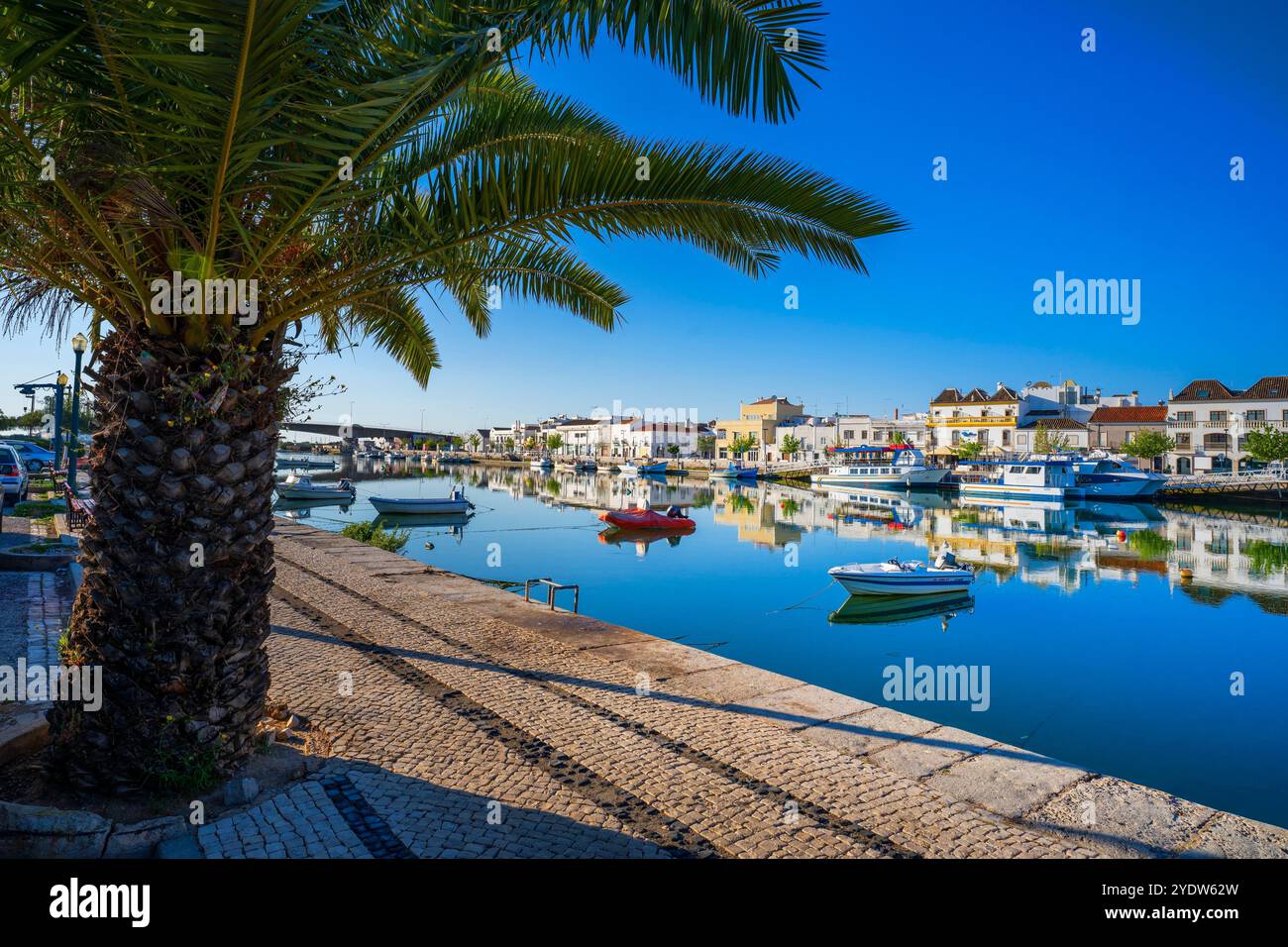 Riverside view reflections trees hi-res stock photography and images ...