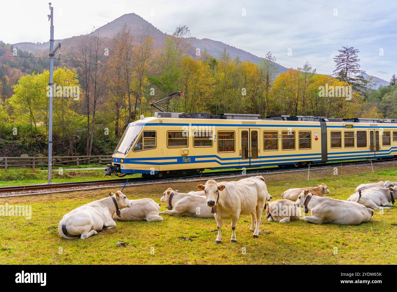 Val centovalli hi-res stock photography and images - Alamy