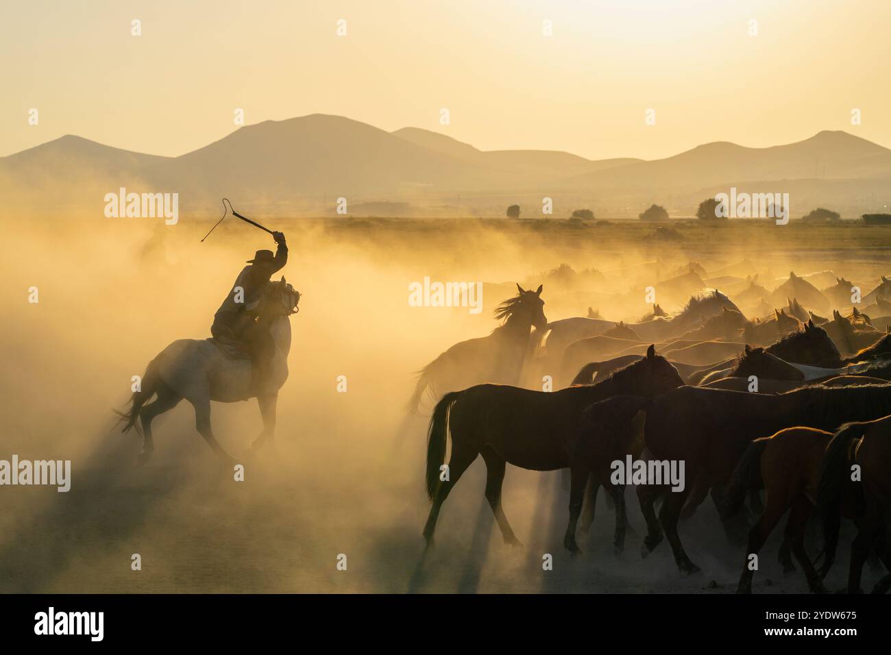 Cowboy strength sunset hi-res stock photography and images - Alamy