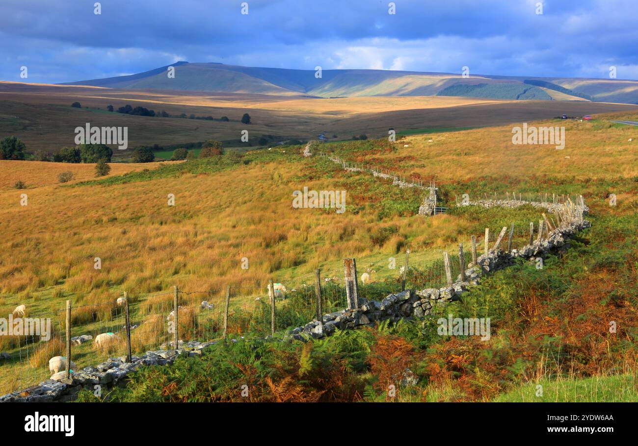 Fauna y flora y fauna hi-res stock photography and images - Alamy
