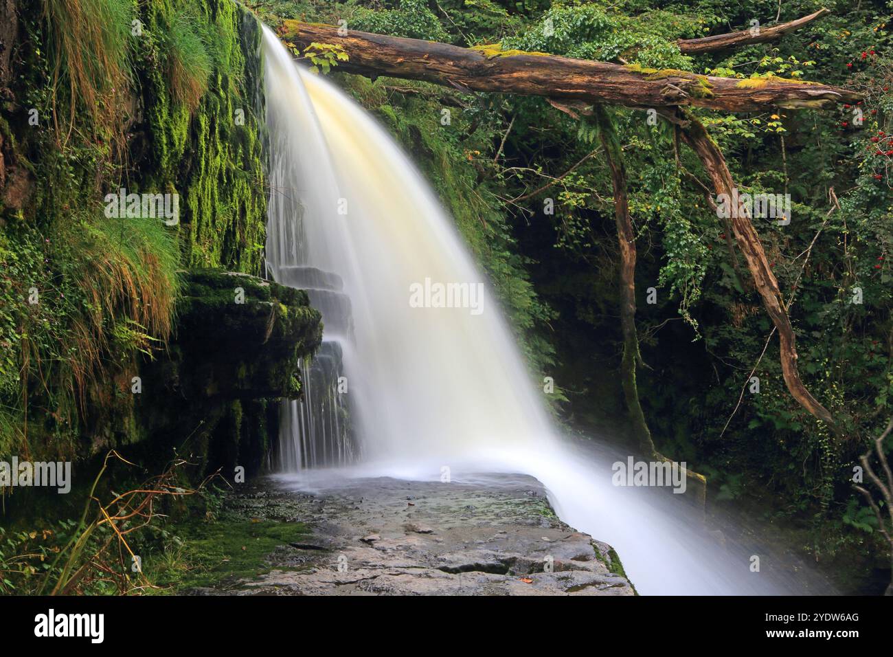 Sgwd Clun-Gwyn waterfall, Ystradfellte, Brecon Beacons, Powys, Wales ...