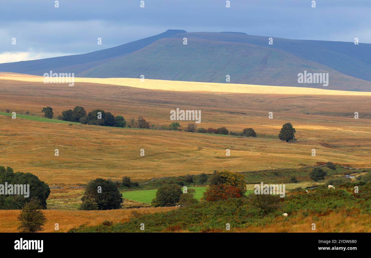 Fauna y flora y fauna hi-res stock photography and images - Alamy