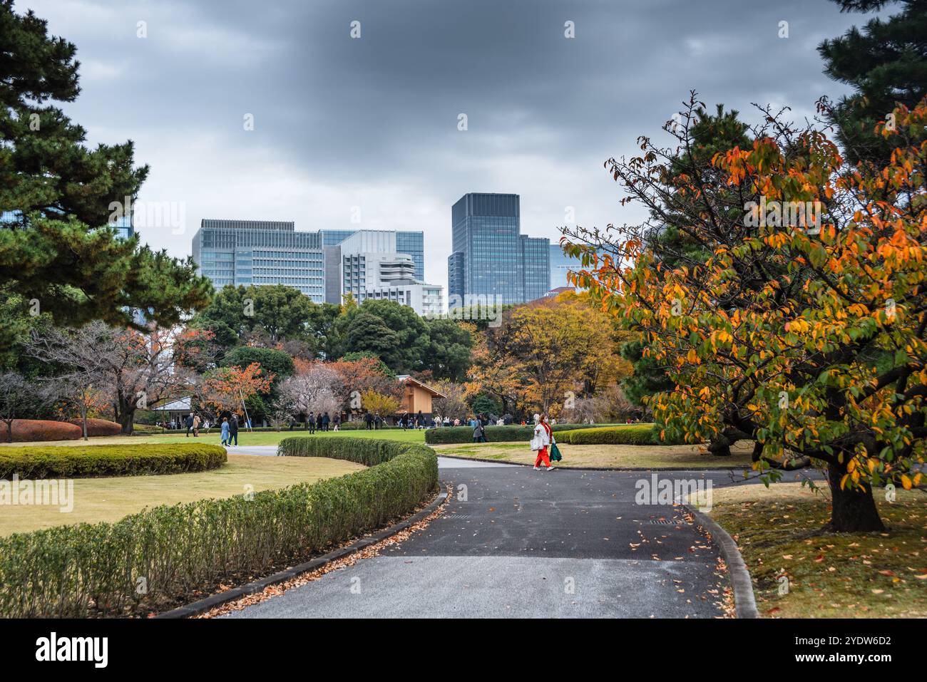 Autumnal leaves and skyscrapers of central Tokyo, Park of Edo Palace ...