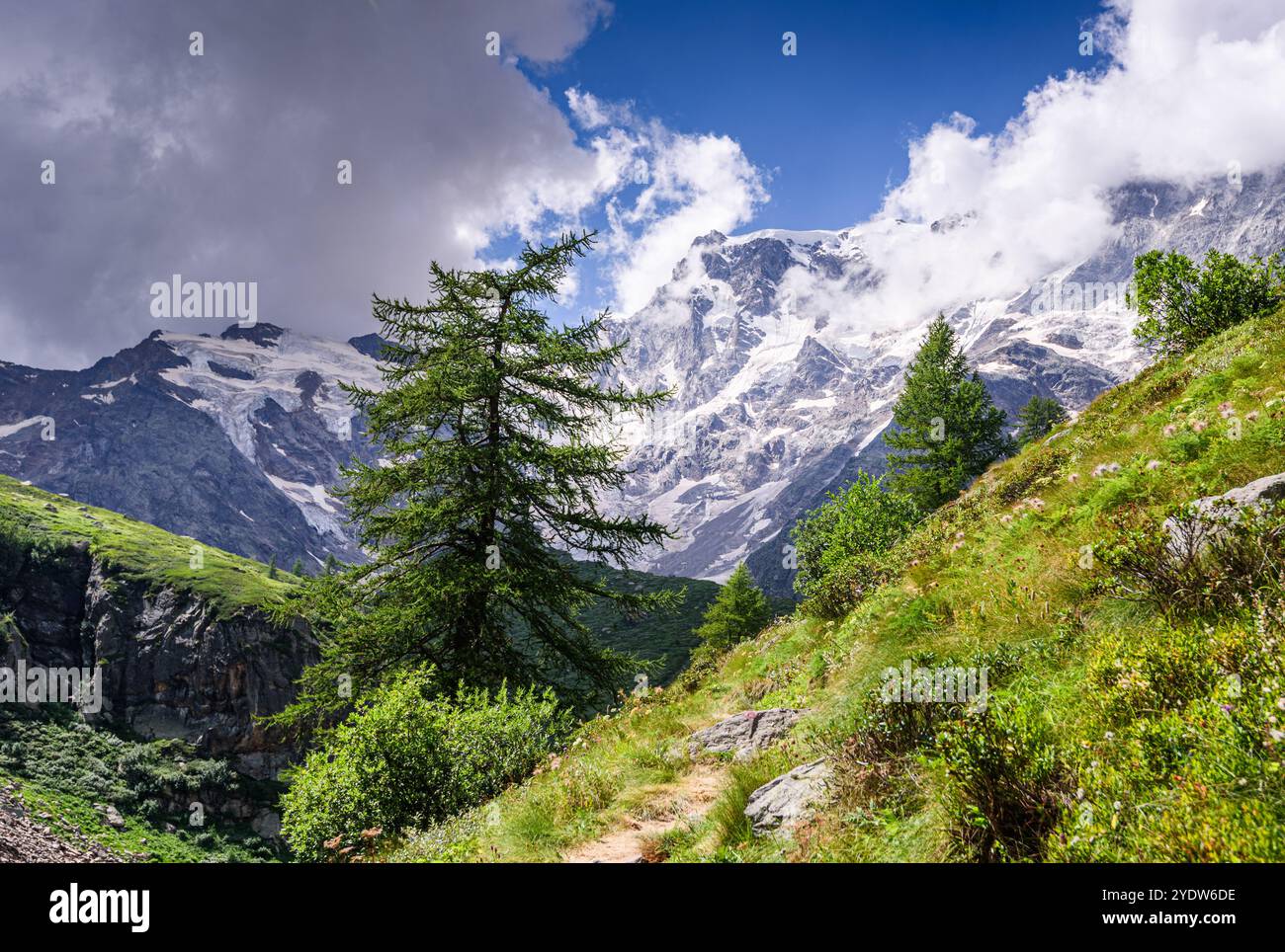 Hiking trail in alpine landscape facing Monte Rosa with lush forest and ...