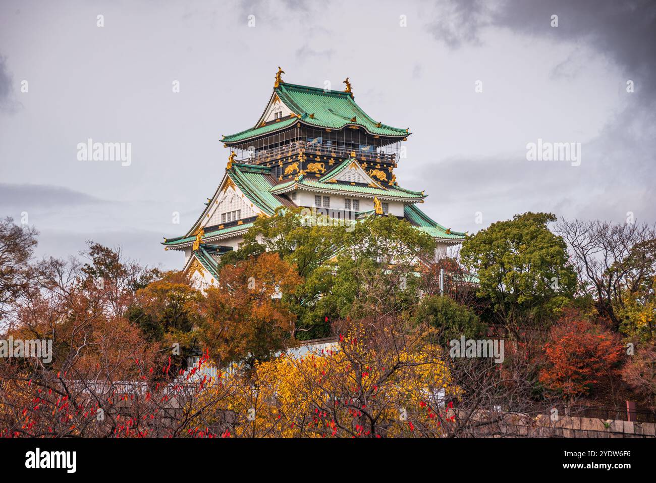 Osaka Castle with autumnal trees, Osaka, Honshu, Japan, Asia Stock ...
