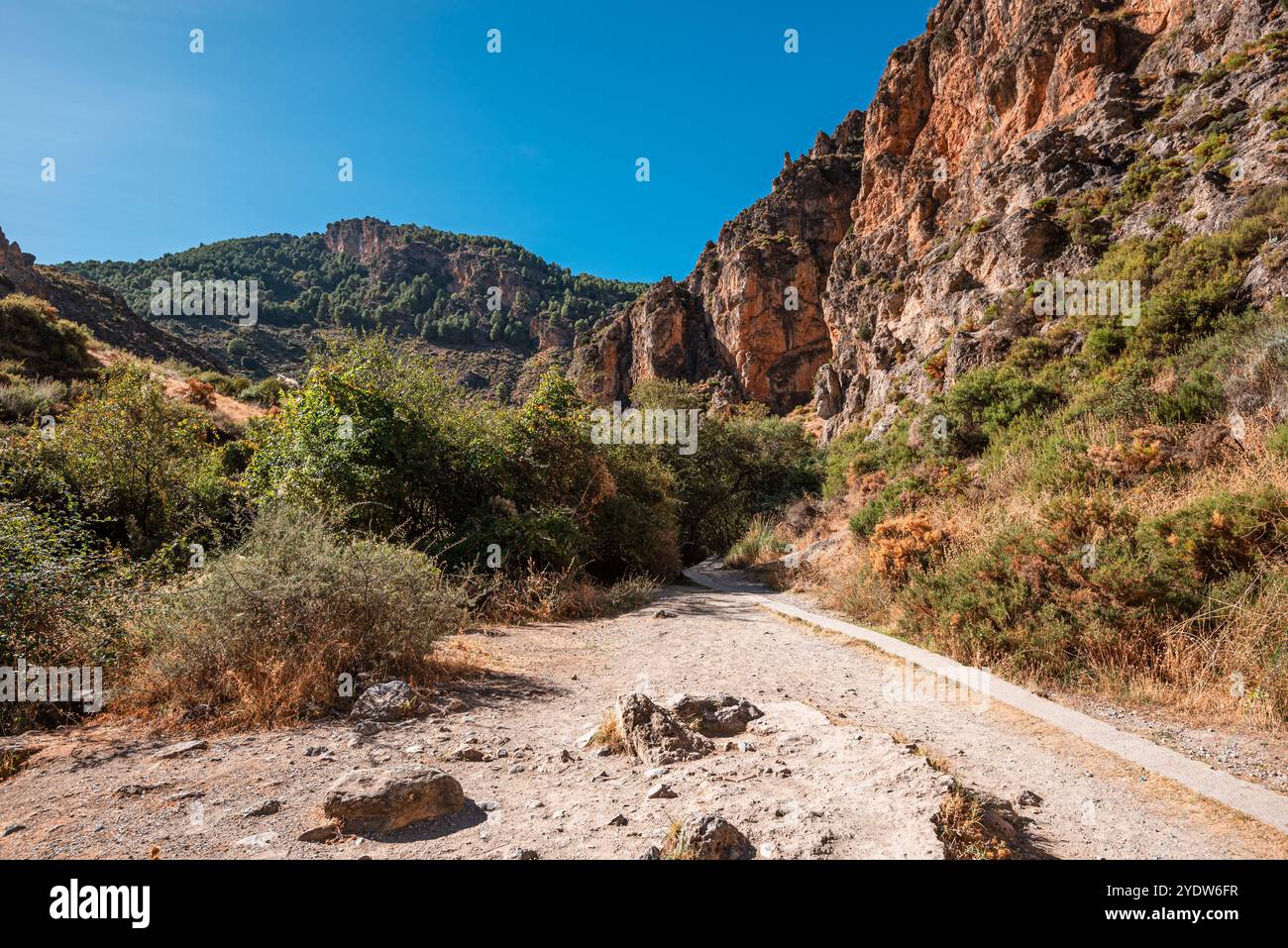 Hiking trail in the arid gorge canyon landscape of Los Cahorros ...