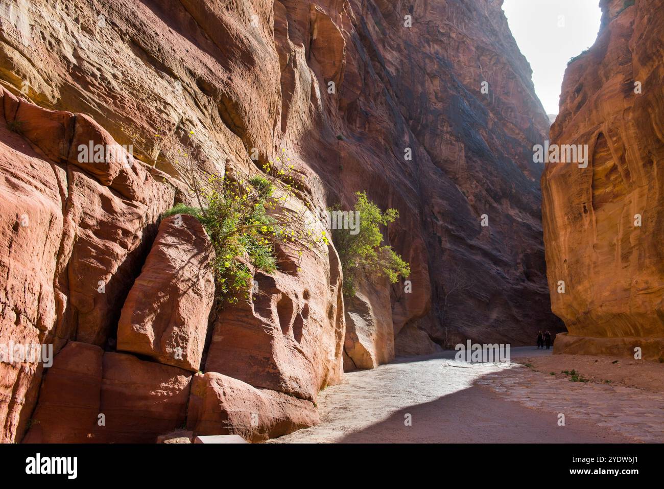The Siq, narrow gorge leading to the historic and archaeological ...