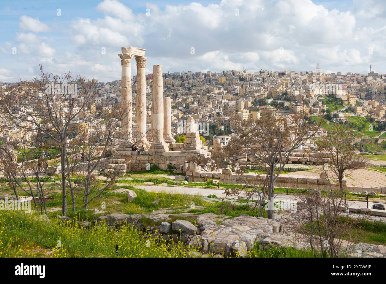 Amman citadel located in heart hi-res stock photography and images - Alamy