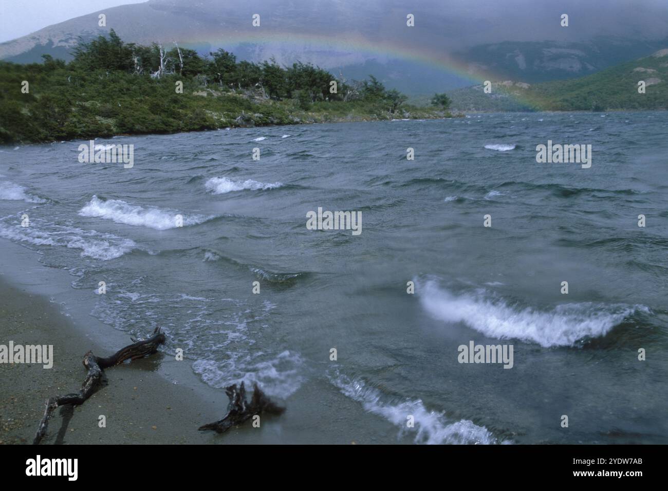 Lake Capri in Patagonia, Argentina Stock Photo - Alamy