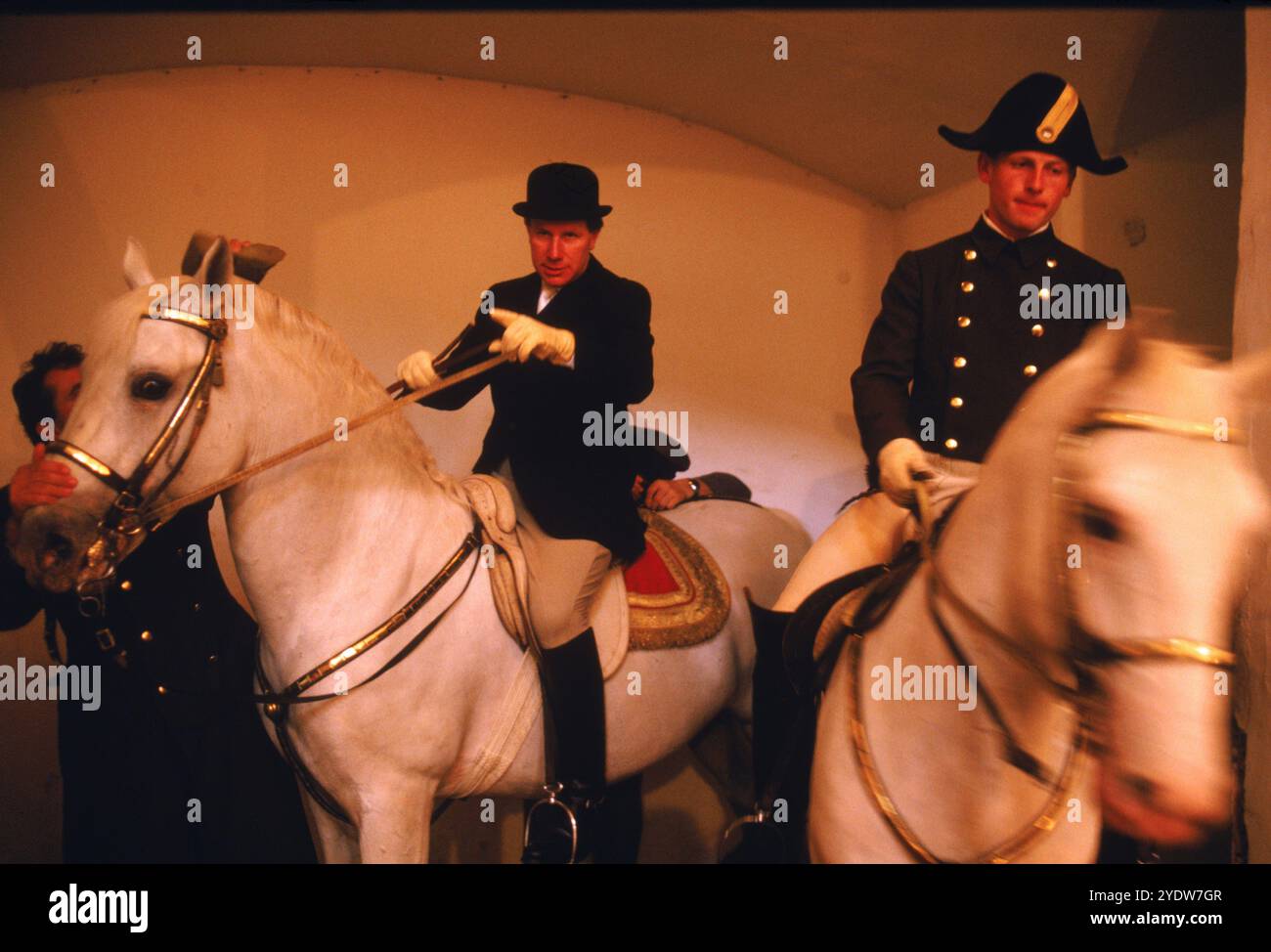 Training of lipizzaner horses hi-res stock photography and images - Alamy
