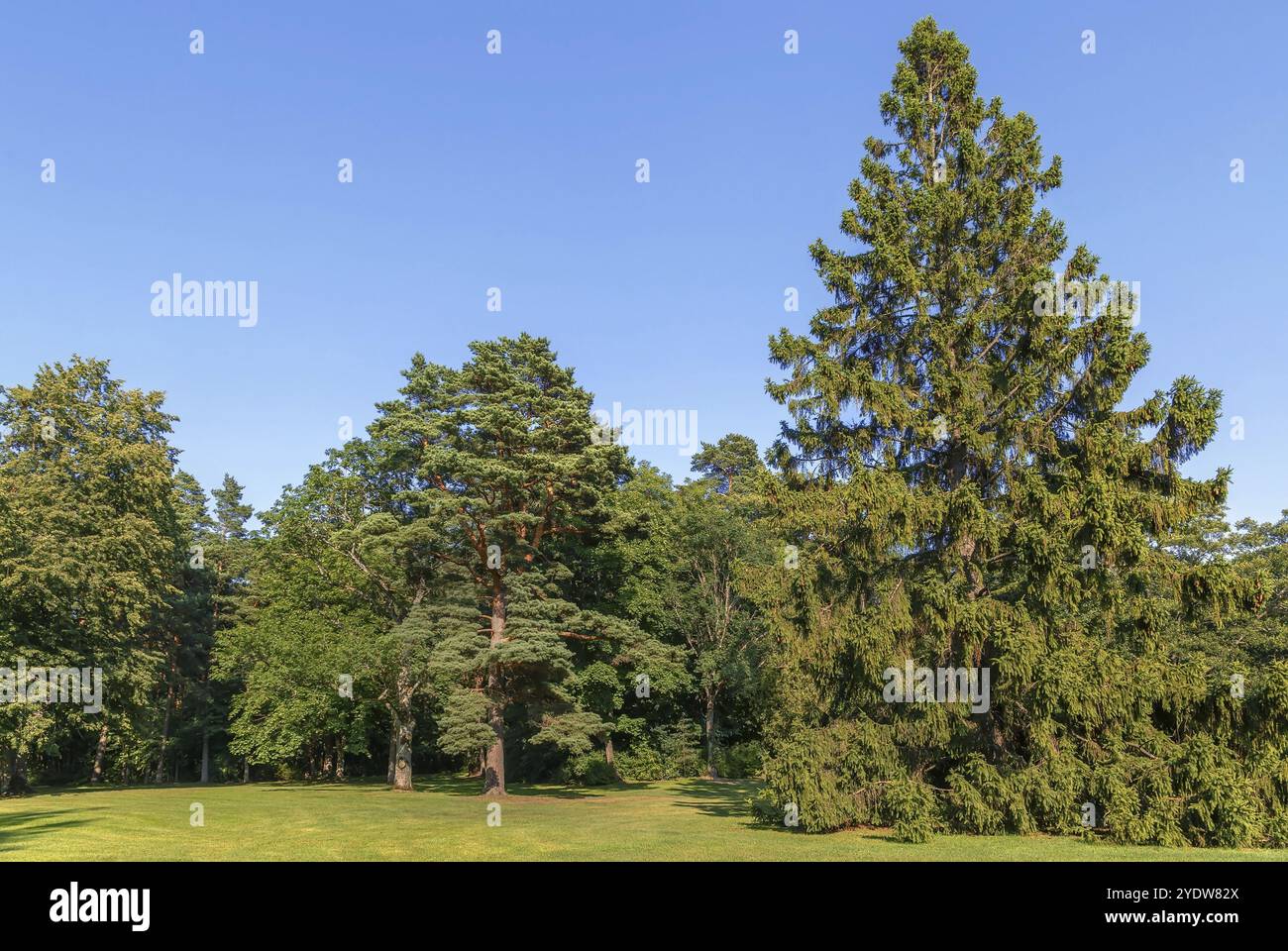 Palanga Botanical Park is landscape park in Lithuania?s coastal region ...