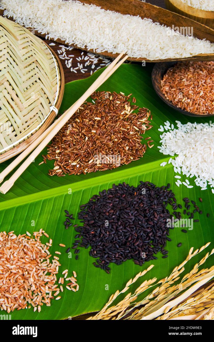 Various types of rice including black, arborio, basmati, red and ...