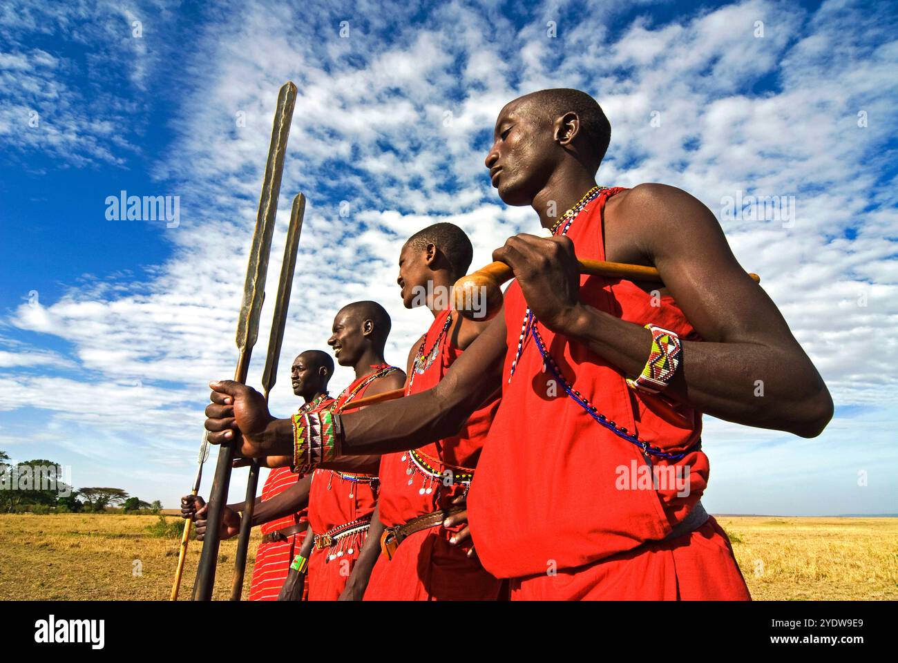Maasai (Masai) Warriors, Masai Mara National Reserve, Kenya, East ...