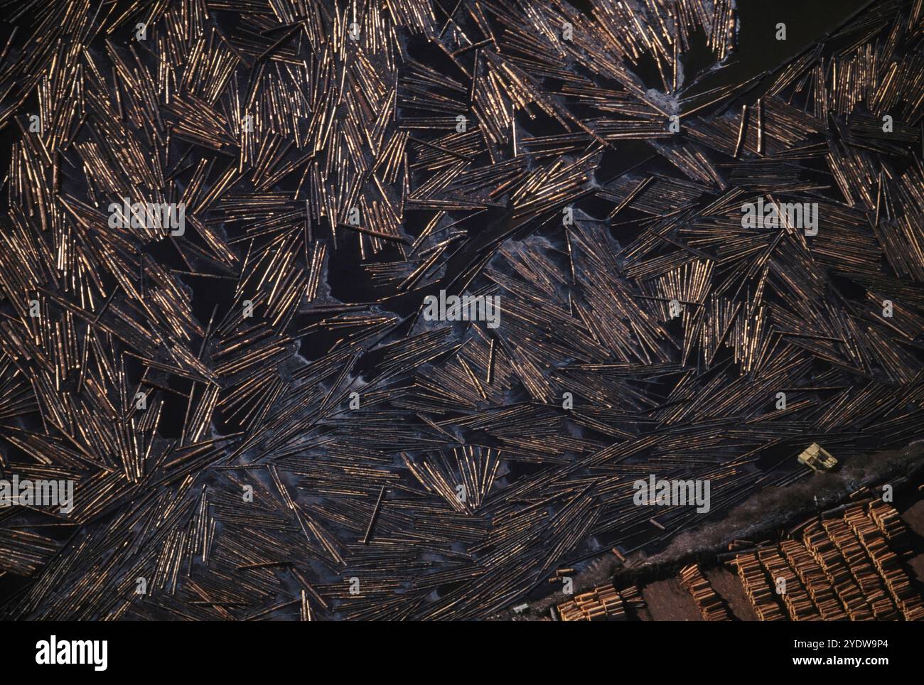 Lumber mill in Roseburg, Oregon, USA Stock Photo - Alamy