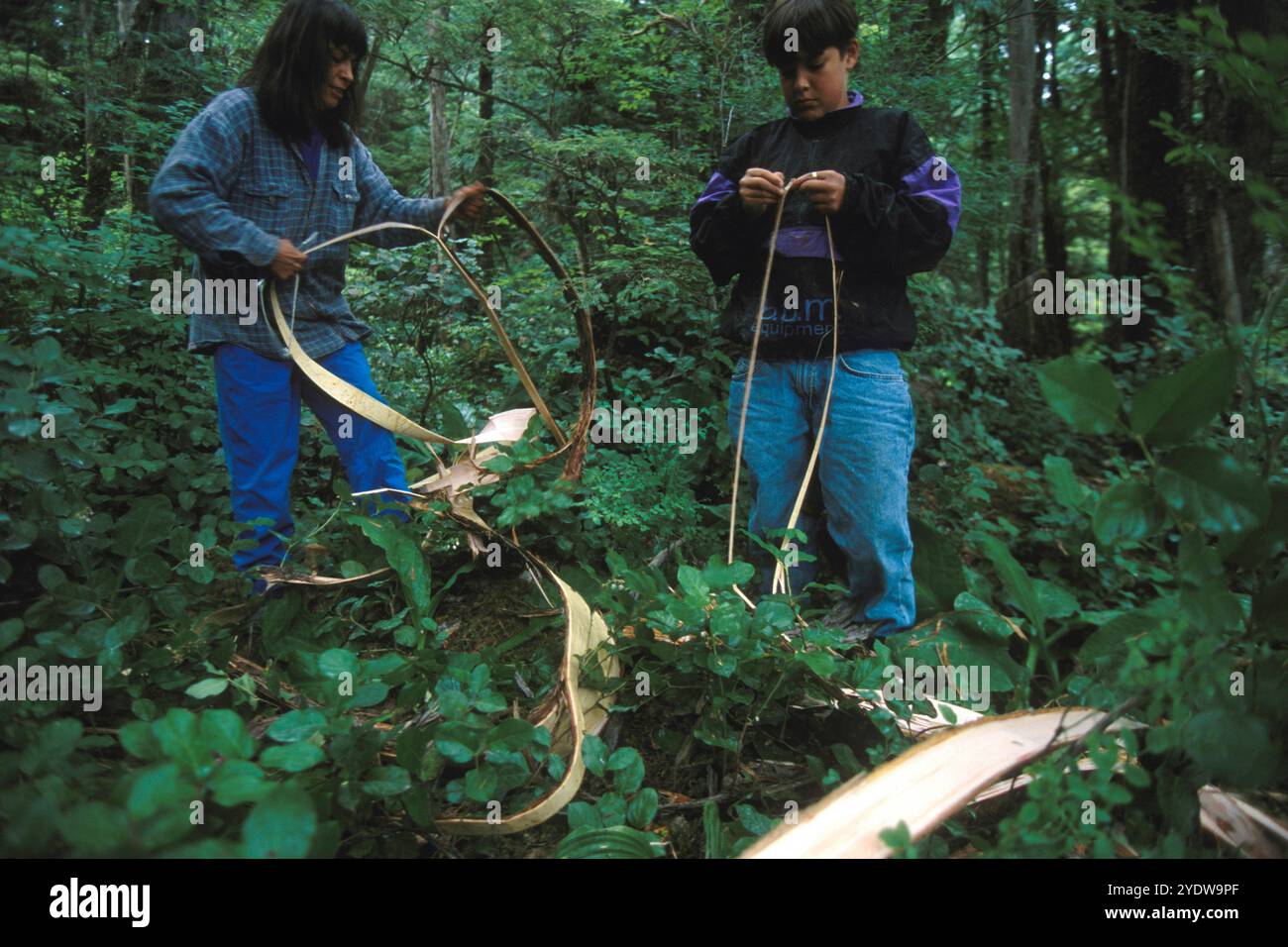 Hydaburg alaska hi-res stock photography and images - Alamy