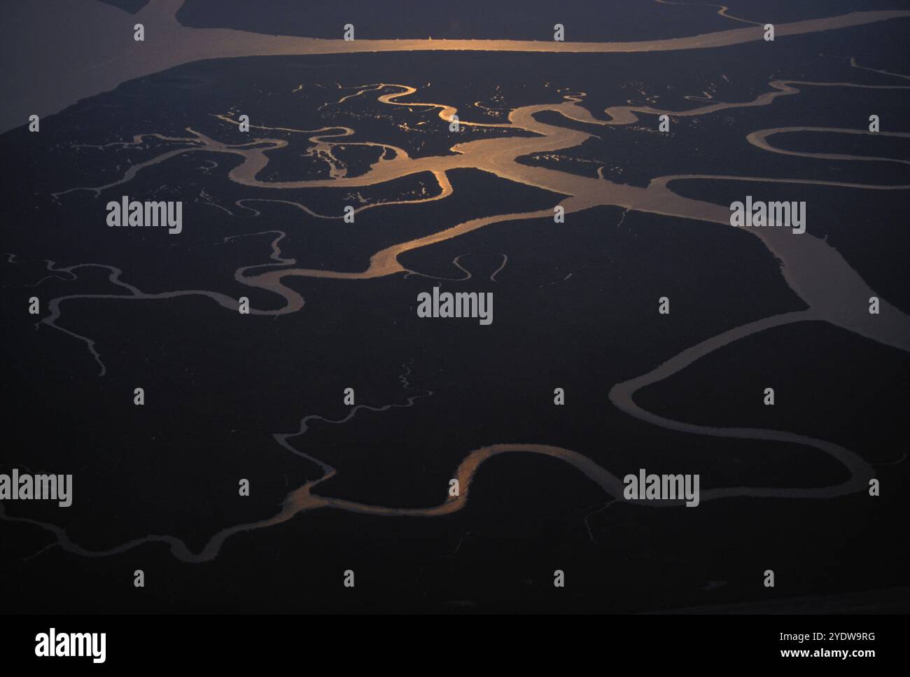 Aerial view of Wolf Islands at Altamaha Estuary Georgia USA Stock Photo ...