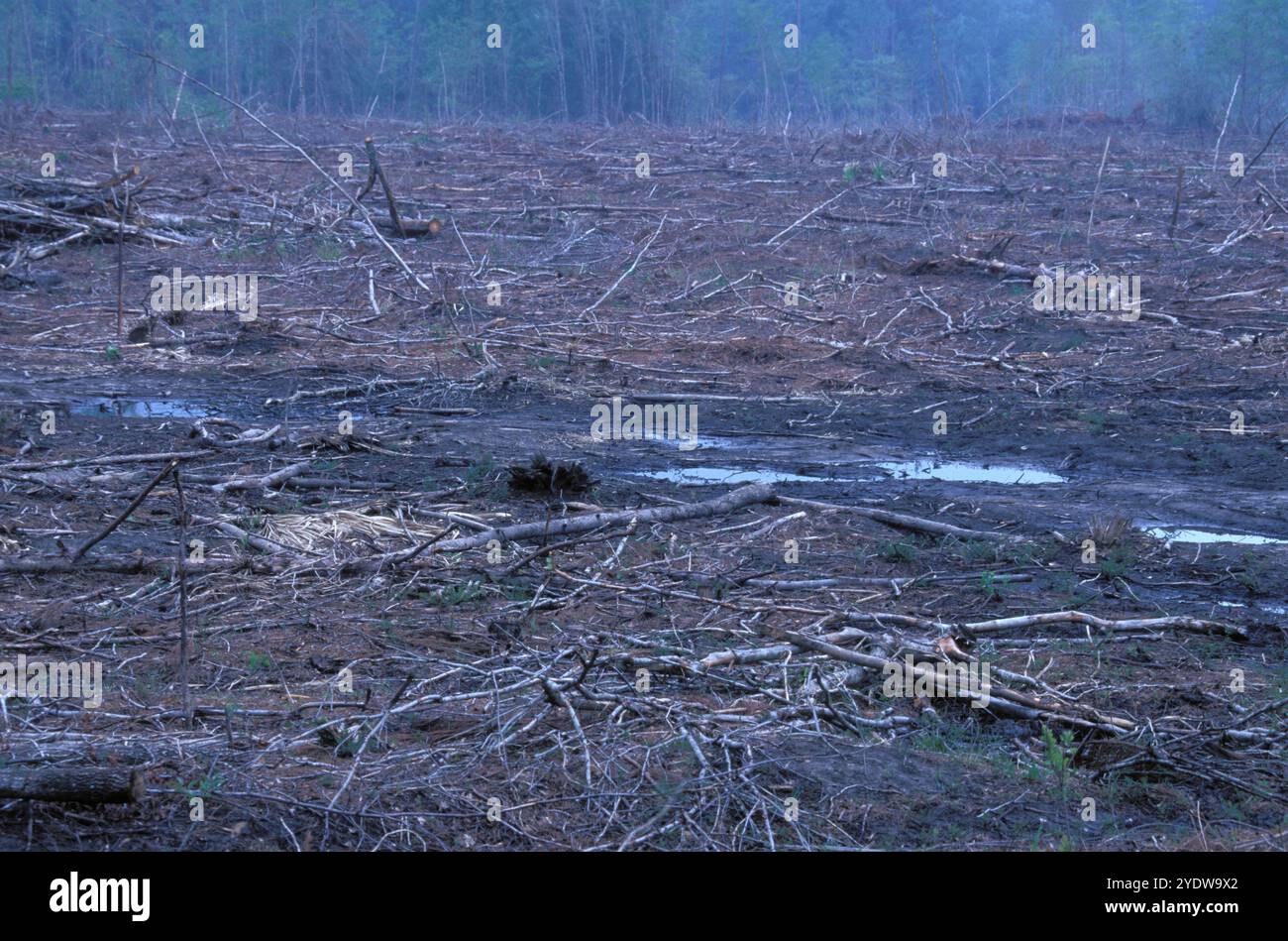 Logging system hi-res stock photography and images - Alamy