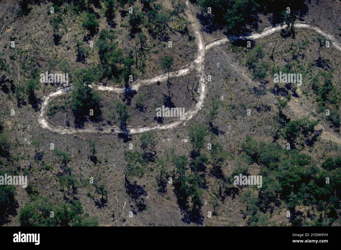 Aerial usa logging road hi-res stock photography and images - Alamy
