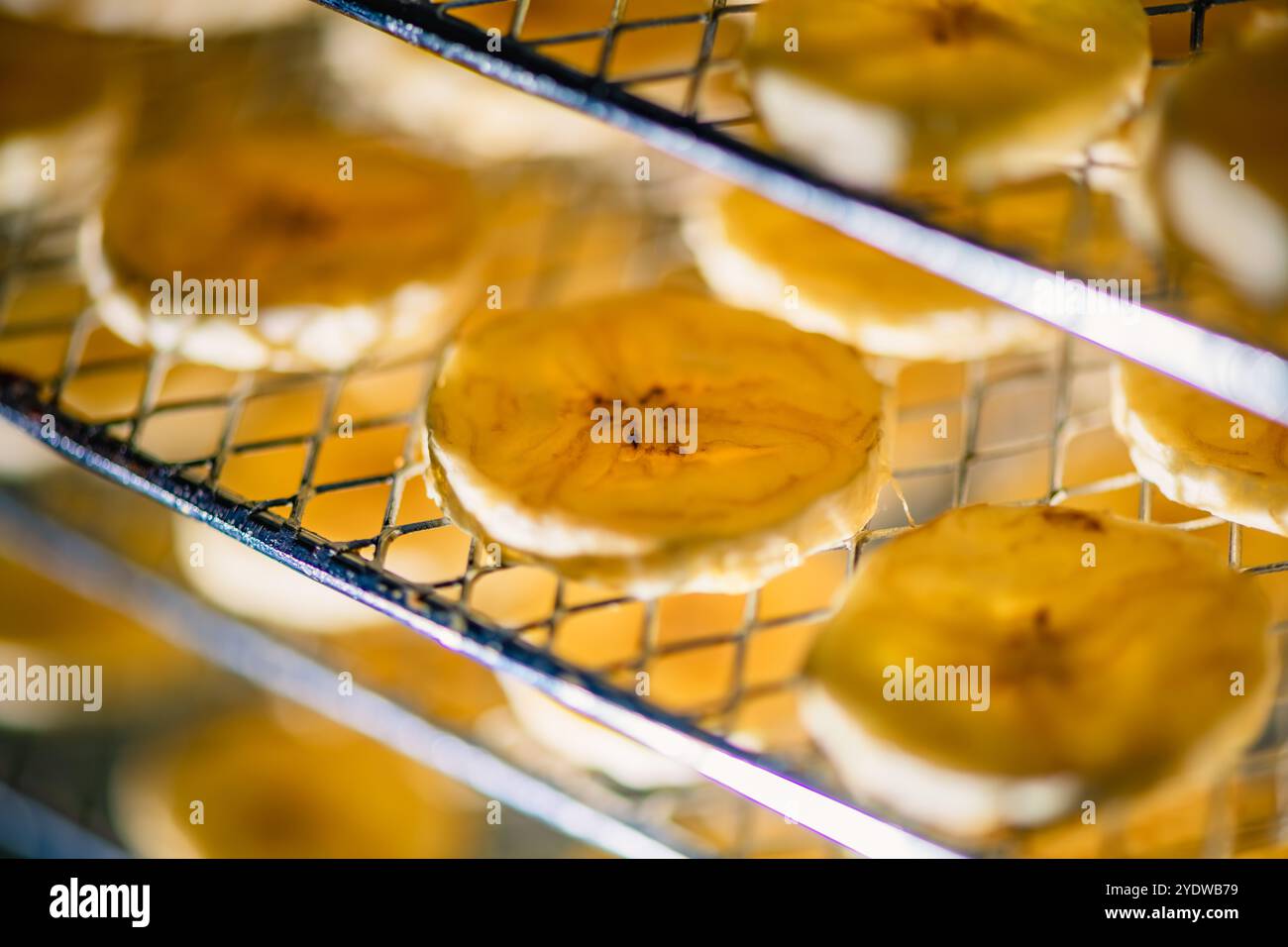 close up Sliced bananas are drying on metal trays inside a food ...