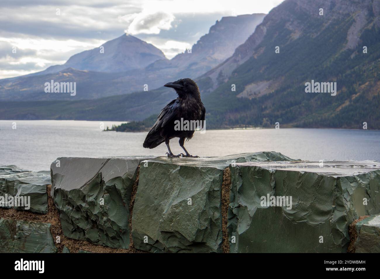 Raven mountain hi-res stock photography and images - Alamy