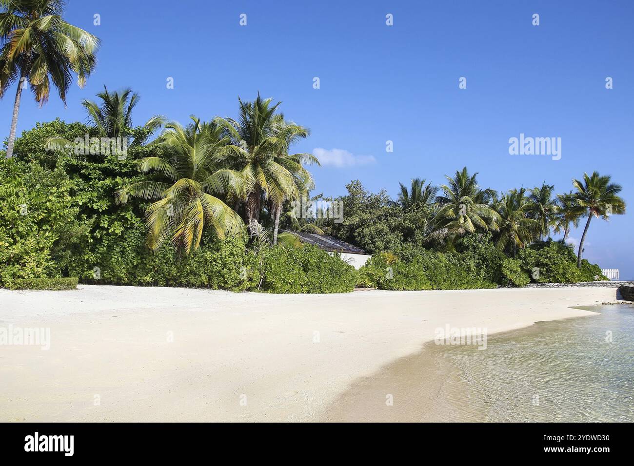Tropical maldives island sandy hi-res stock photography and images - Alamy