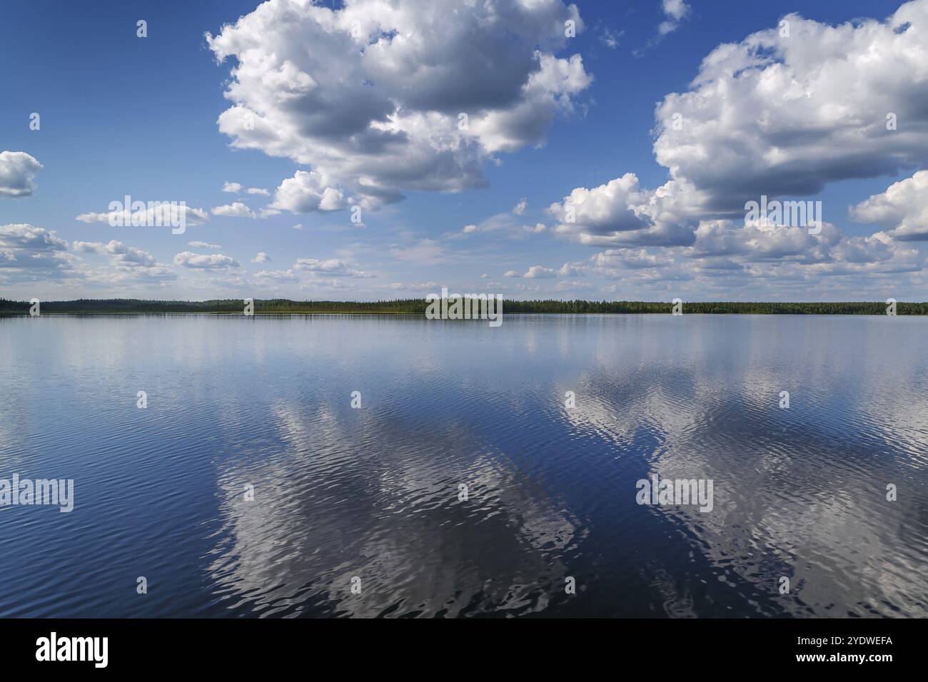Landscape with a symmetrical reflection on the Vyg river (part of the ...