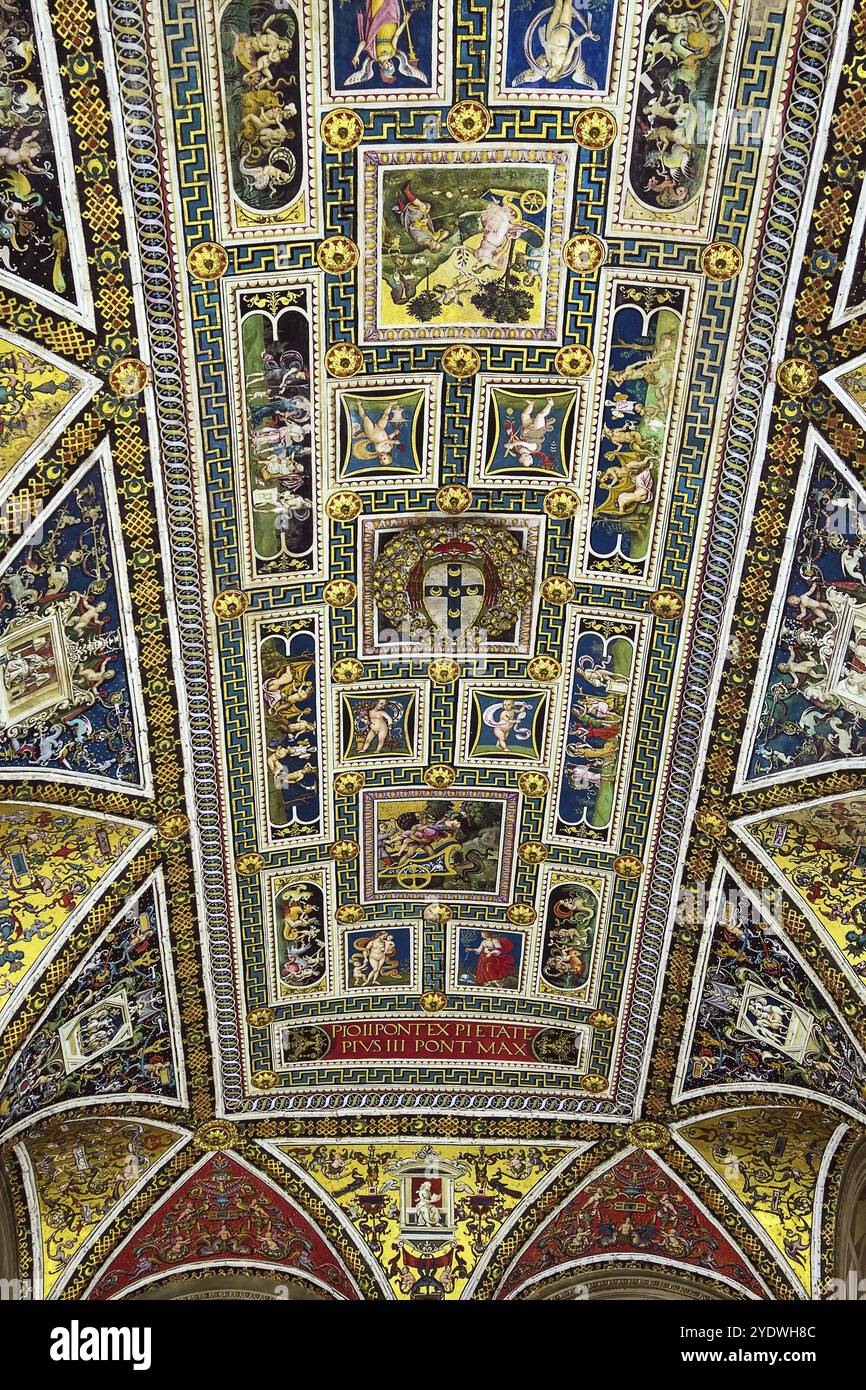 Ceilings in cathedrals hi-res stock photography and images - Alamy