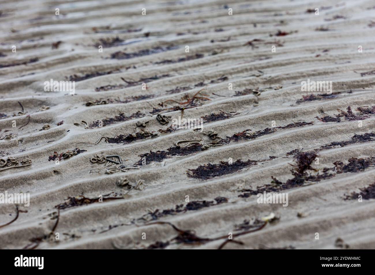 Natural ripple effect in the sand caused by movement of the waves at ...